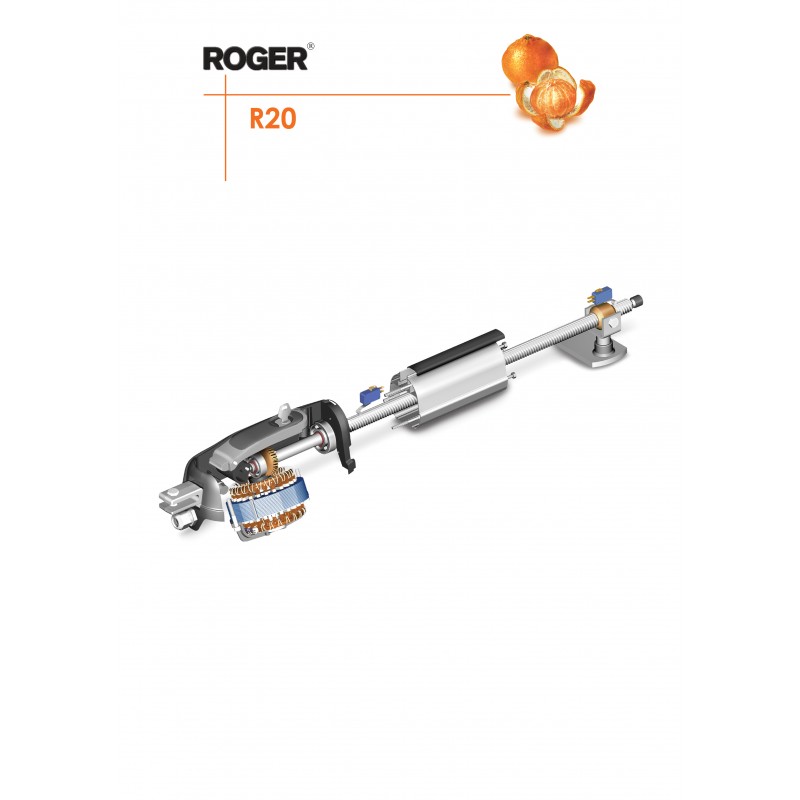 R20/300 motor ROGER TECHNOLOGY