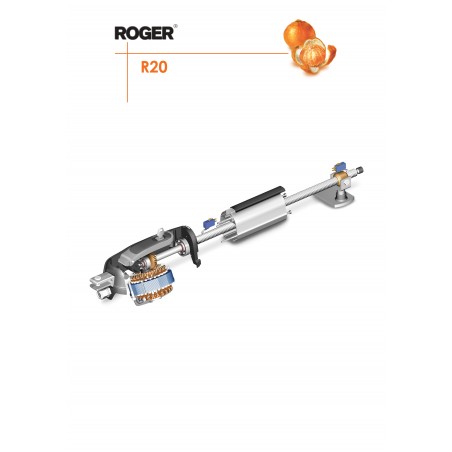 R20/300 motor ROGER TECHNOLOGY